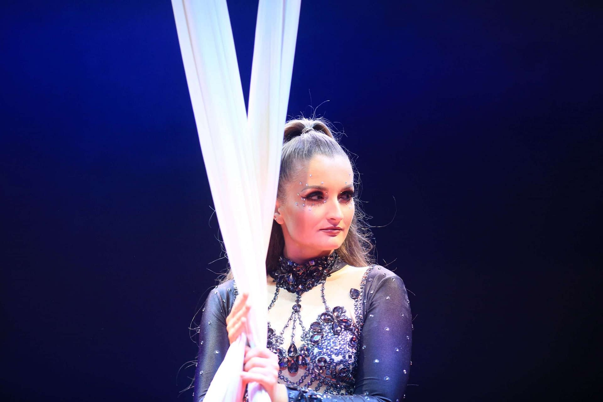Aerial Silk Performer Hire Aerial Performers Circus Acts